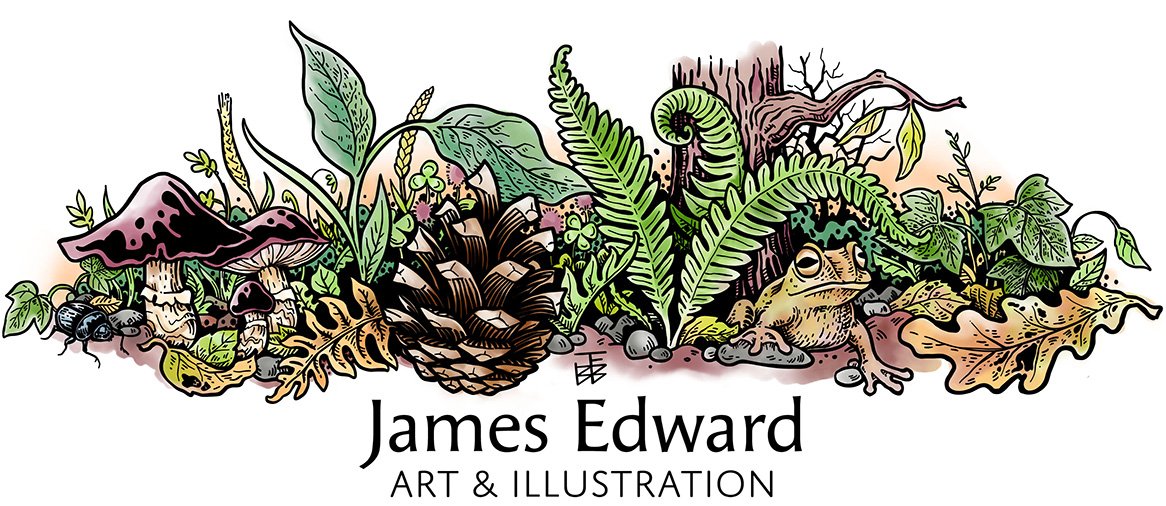 Homepage - James Edward art and Illustration